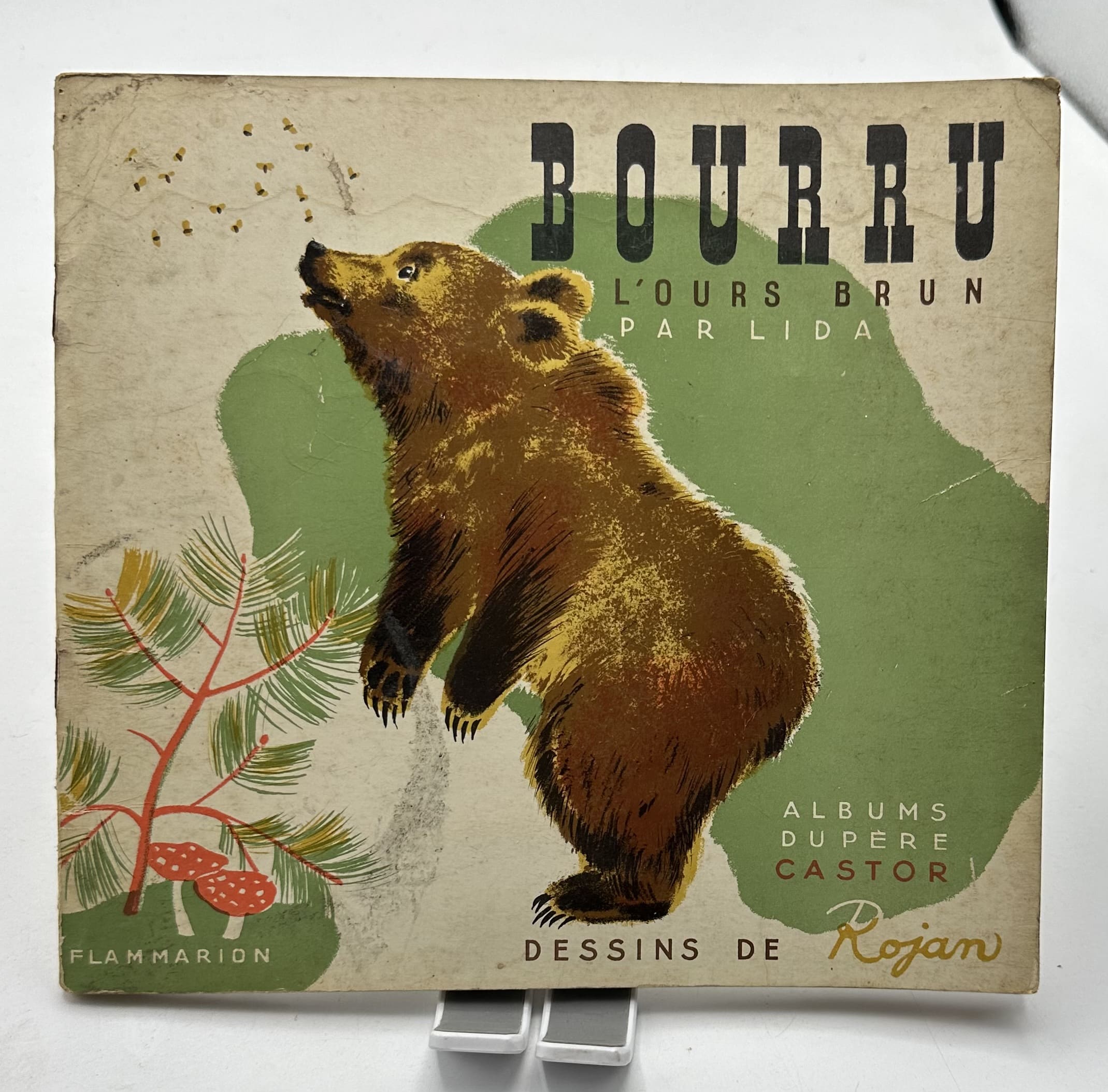 Bourru l'ours brun Dessins de Rojan texte de LIDA - Liouda Livre